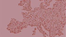 Startseite - Oesterreichische Nationalbank (OeNB)